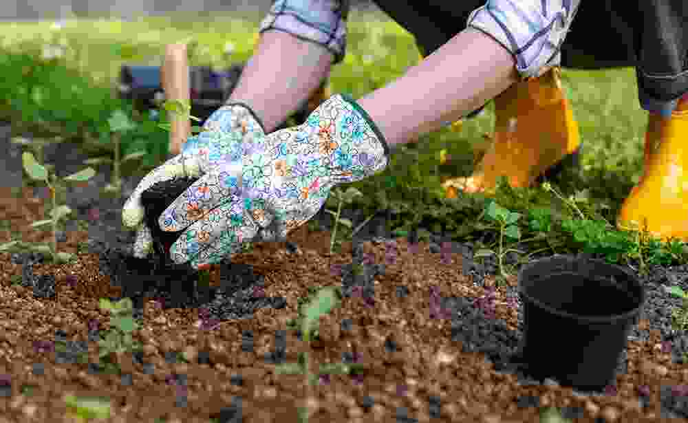 History – SOS NATURAL