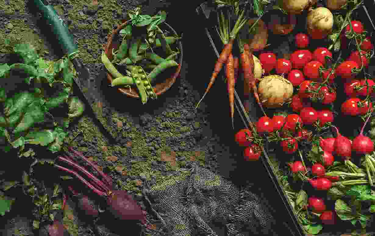 Blog – SOS NATURAL