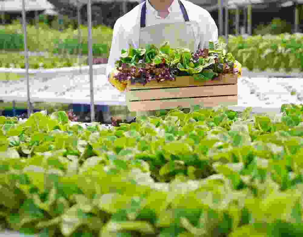 Home – 3 – SOS NATURAL