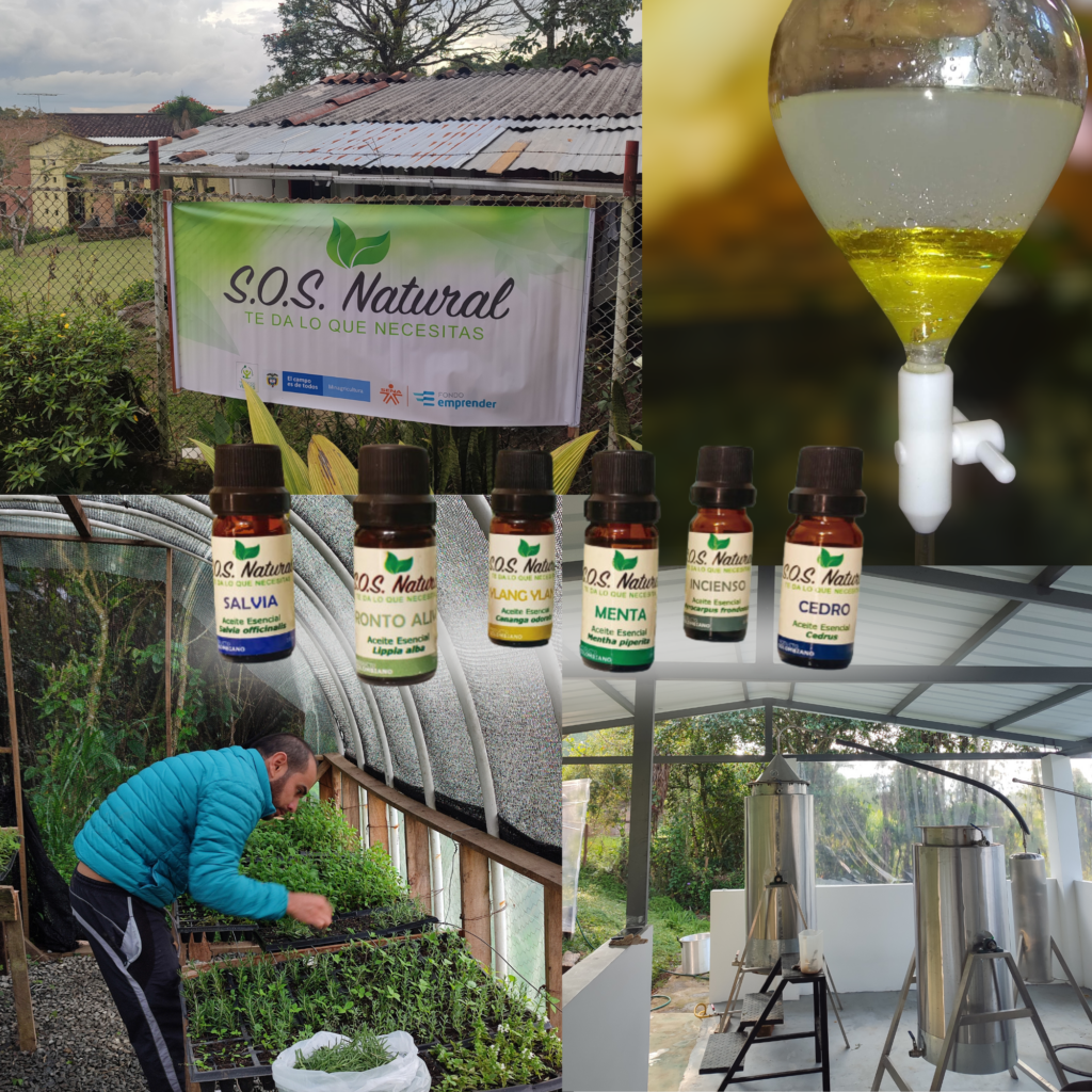 jabones y velas – SOS NATURAL